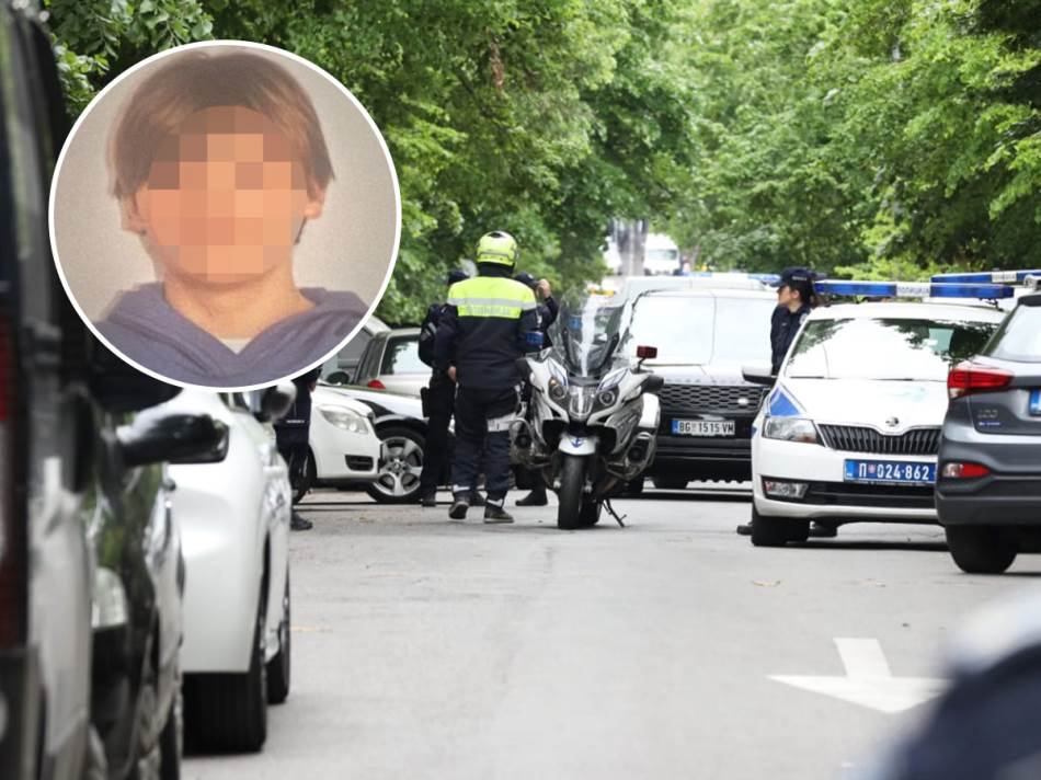 ČUDAN REČNIK DEČAKA UBICE IZ RIBNIKARA, STRUČNJACI ŠOKIRANI: Ono što priča ne priliči njegovim ...